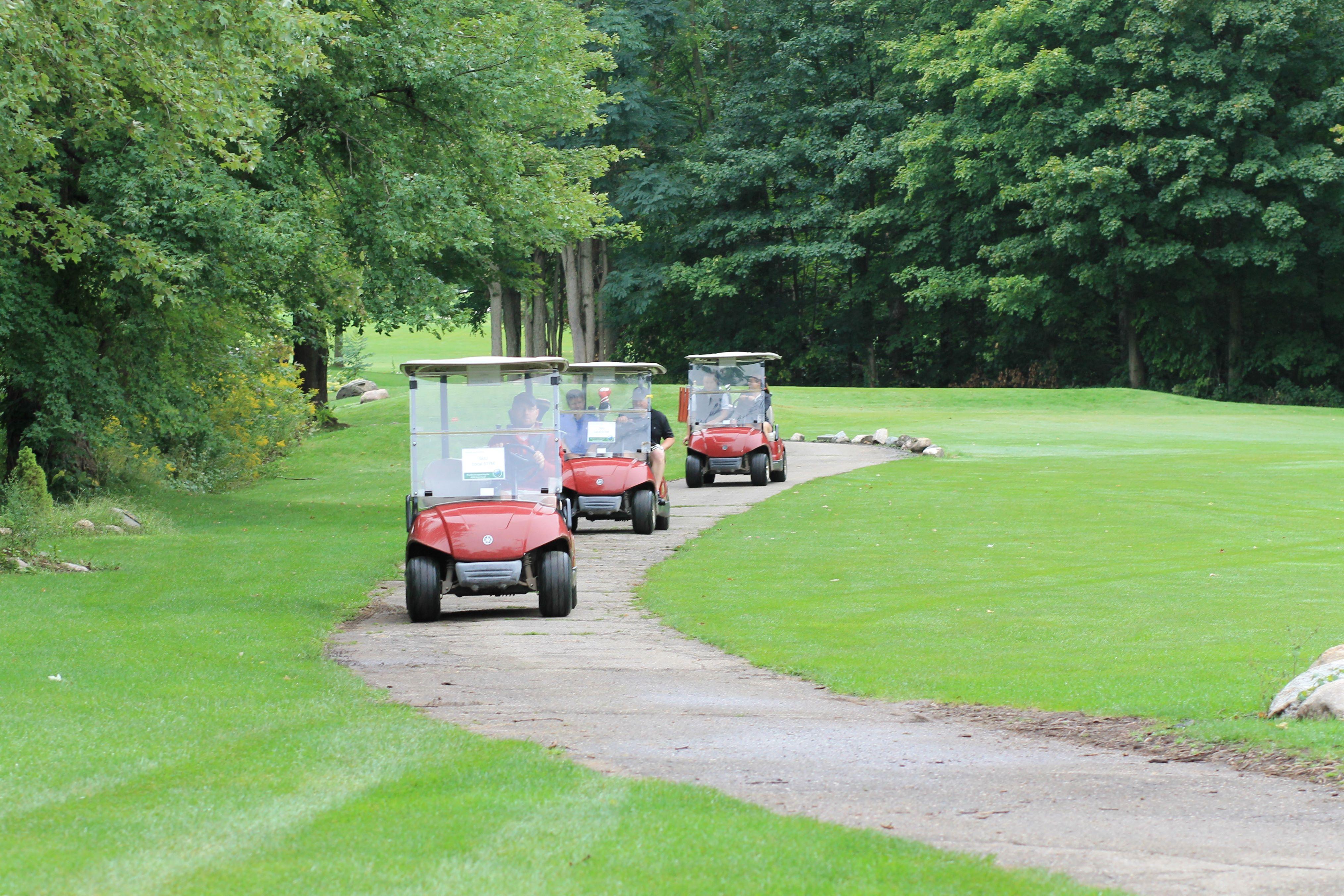 MSEA is hosting a golf outing to raise money for the crisis fund | Michigan State Employees ...